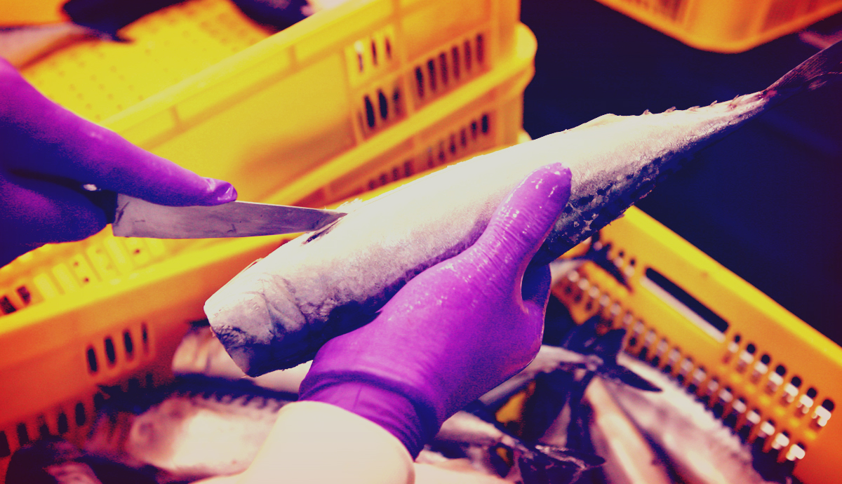 Préposé à la transformation du poisson, ça vous intéresse?